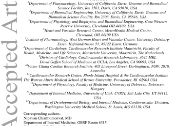 Services – Euro Afro Studies International Journal